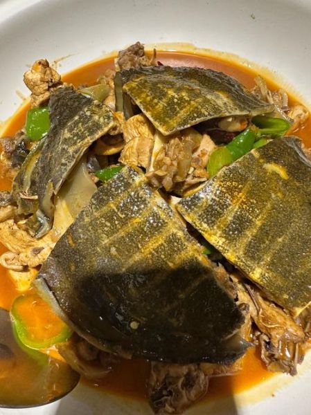 红烧甲鱼怎么做_红烧甲鱼的做法大全图解法-第2张图片-山城妙识