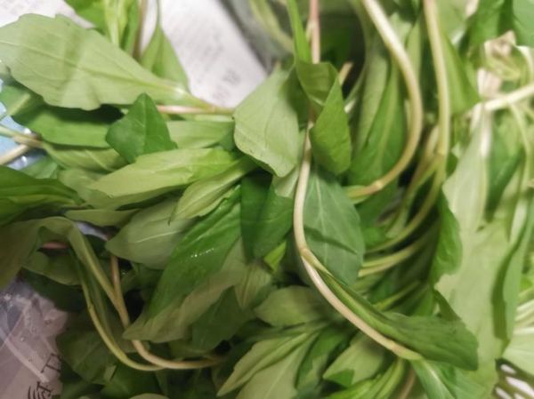 晒干的马兰头怎么泡发_晒干的马兰头做法大全-第3张图片-山城妙识