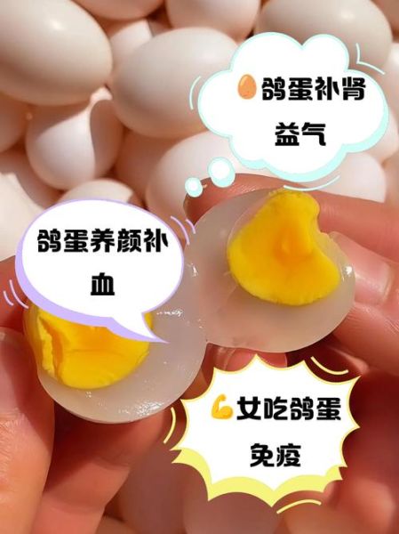 鸽子蛋有什么营养价值_鸽子蛋的功效与作用-第2张图片-山城妙识