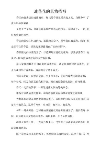 油菜花作文怎么写_油菜花作文500字范文-第2张图片-山城妙识