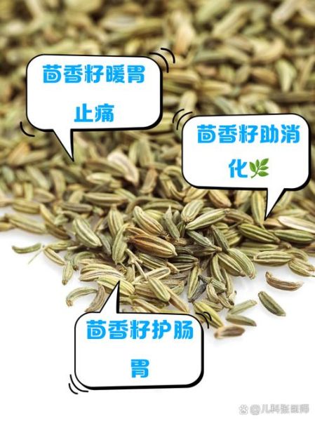 茴香籽怎么吃最好_茴香籽的正确吃法-第1张图片-山城妙识 茴香籽怎么吃最好_茴香籽的正确吃法-第1张图片-山城妙识