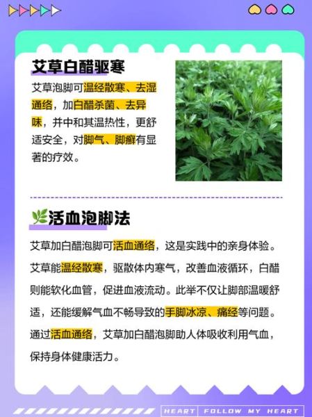 米醋能减肥吗_米醋泡脚的正确方法-第3张图片-山城妙识 米醋能减肥吗_米醋泡脚的正确方法-第3张图片-山城妙识