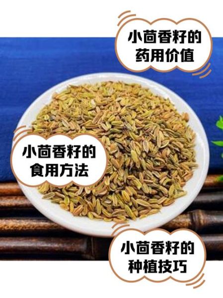 茴香籽怎么吃最好_茴香籽的正确吃法-第3张图片-山城妙识 茴香籽怎么吃最好_茴香籽的正确吃法-第3张图片-山城妙识