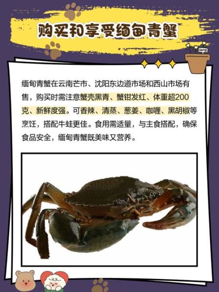 青蟹价格多少钱一斤_2024最新行情-第3张图片-山城妙识 青蟹价格多少钱一斤_2024最新行情-第3张图片-山城妙识