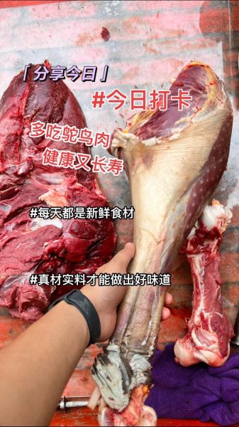 鸵鸟回收多少钱一斤_鸵鸟肉收购价格行情-第1张图片-山城妙识