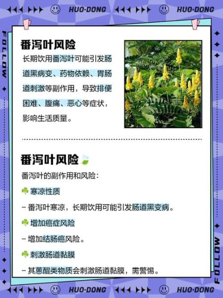 番泻叶的副作用有哪些_番泻叶怎么喝最减肥-第1张图片-山城妙识 番泻叶的副作用有哪些_番泻叶怎么喝最减肥-第1张图片-山城妙识