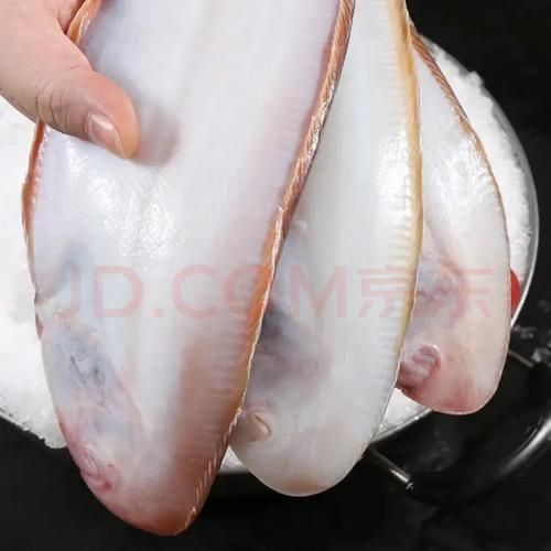 活的龙利鱼长什么样_龙利鱼图片活的怎么分辨真假-第2张图片-山城妙识