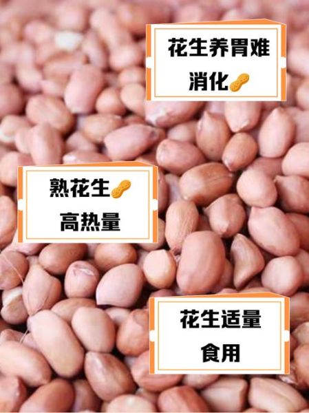 花生米生吃好还是熟吃好_营养差异与食用建议-第3张图片-山城妙识