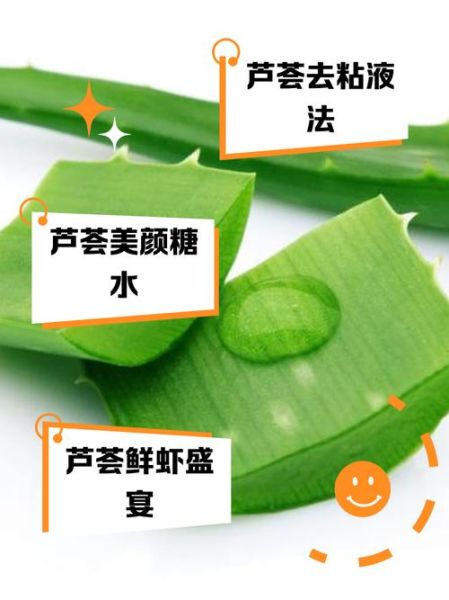芦荟怎么吃_芦荟的正确吃法与禁忌-第3张图片-山城妙识