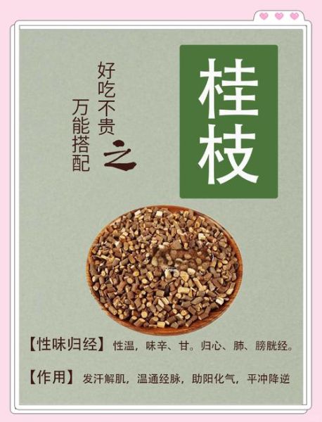 桂枝的功效与作用有哪些_桂枝如何正确服用-第1张图片-山城妙识