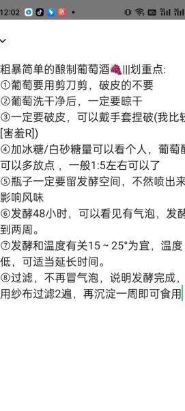 如何在家酿造葡萄酒_葡萄酒发酵常见问题-第3张图片-山城妙识
