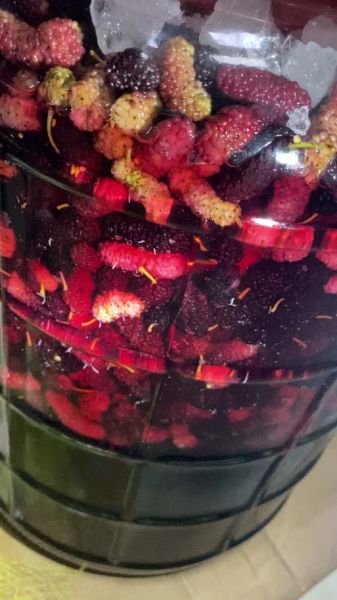 桑葚盐水一泡全是虫子_怎么办-第2张图片-山城妙识