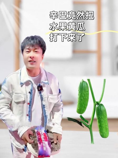 青瓜视频怎么赚钱_青瓜视频推广技巧-第2张图片-山城妙识