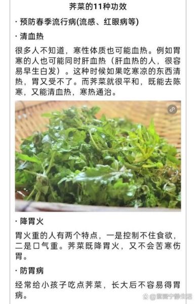 荠荠菜的功效与禁忌_荠荠菜什么人不能吃-第1张图片-山城妙识