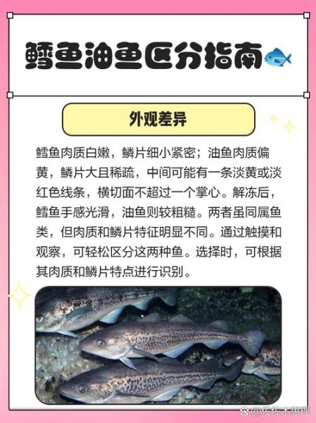 油鱼和鳕鱼蒸出来区别_怎么分辨真假鳕鱼-第1张图片-山城妙识 油鱼和鳕鱼蒸出来区别_怎么分辨真假鳕鱼-第1张图片-山城妙识