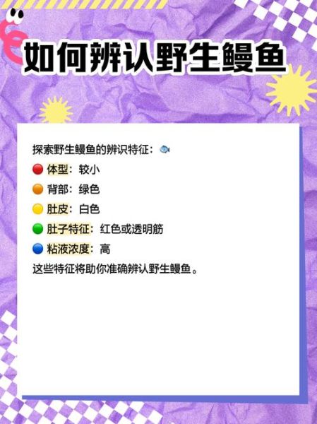 淡水鳗鱼多少钱一斤_淡水鳗鱼价格走势-第3张图片-山城妙识 淡水鳗鱼多少钱一斤_淡水鳗鱼价格走势-第3张图片-山城妙识