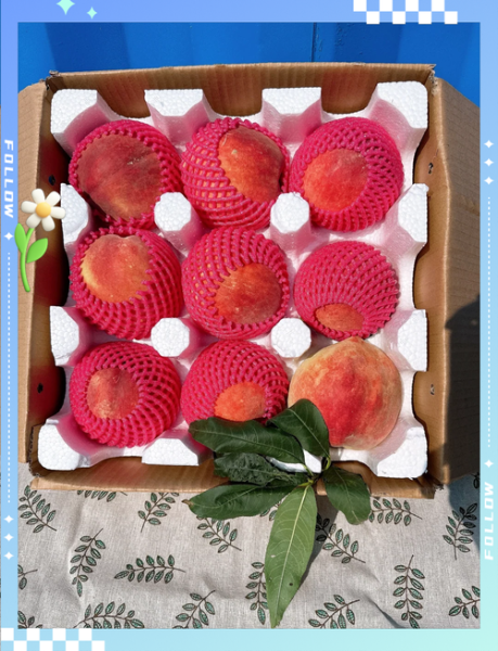 中华寿桃图片_如何挑选正宗果实-第1张图片-山城妙识