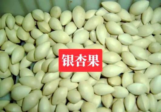 炒白果的做法_白果怎么炒才香-第1张图片-山城妙识 炒白果的做法_白果怎么炒才香-第1张图片-山城妙识