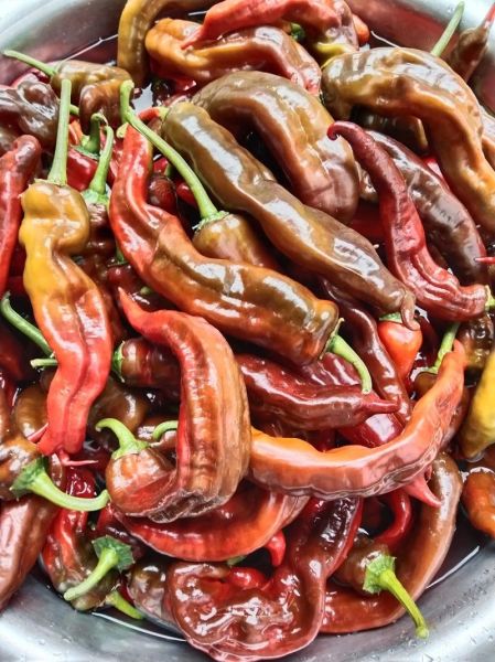 红辣椒怎么腌制好吃又能放长时间_腌制红辣椒保质期多久-第3张图片-山城妙识