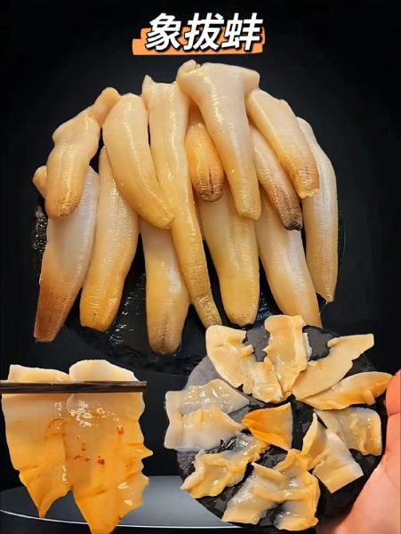 象拔蚌刺身怎么做_象拔蚌刺身视频教程-第3张图片-山城妙识 象拔蚌刺身怎么做_象拔蚌刺身视频教程-第3张图片-山城妙识