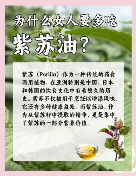 紫苏油价格多少钱一斤_紫苏油为什么这么贵-第1张图片-山城妙识