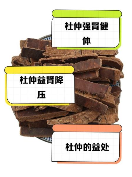 吃杜仲的禁忌_哪些人不能吃杜仲-第2张图片-山城妙识 吃杜仲的禁忌_哪些人不能吃杜仲-第2张图片-山城妙识