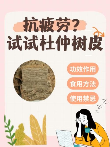 吃杜仲的禁忌_哪些人不能吃杜仲-第3张图片-山城妙识 吃杜仲的禁忌_哪些人不能吃杜仲-第3张图片-山城妙识