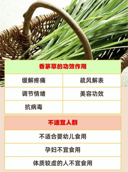 香茅是什么东西_香茅的功效与作用-第2张图片-山城妙识 香茅是什么东西_香茅的功效与作用-第2张图片-山城妙识