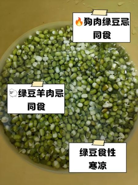 绿豆不能和什么一起吃_绿豆与哪些食物相克-第3张图片-山城妙识