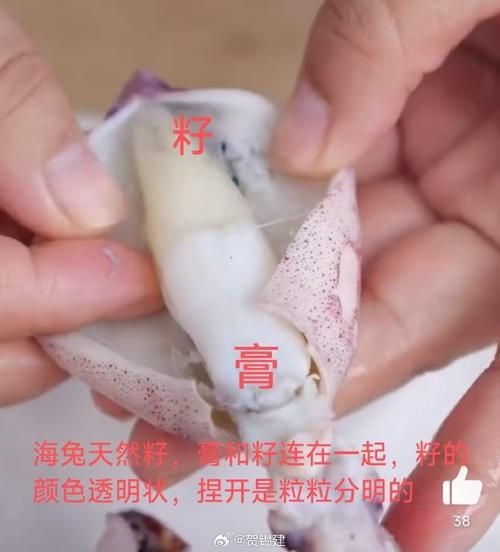 满籽海兔子怎么清洗_满籽海兔子最正宗做法-第1张图片-山城妙识