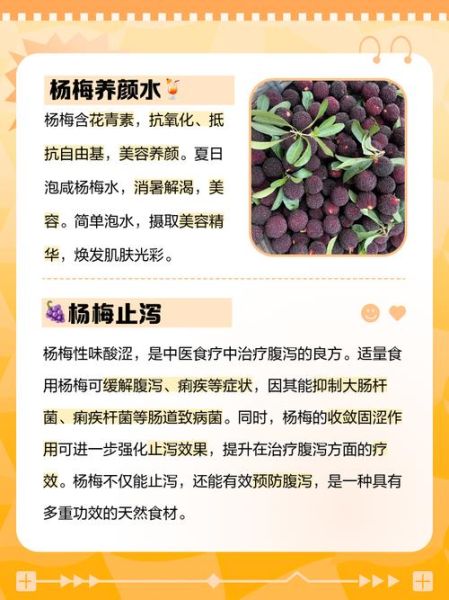 杨梅干泡水有什么好处_杨梅干泡水能减肥吗-第1张图片-山城妙识