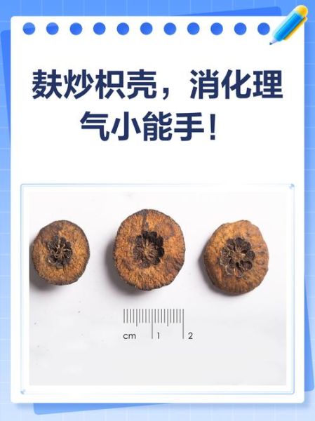 炒枳壳的功效与作用及禁忌_哪些人不能吃-第2张图片-山城妙识
