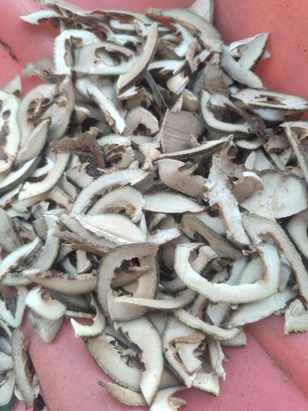 炒枳壳的功效与作用及禁忌_哪些人不能吃-第3张图片-山城妙识