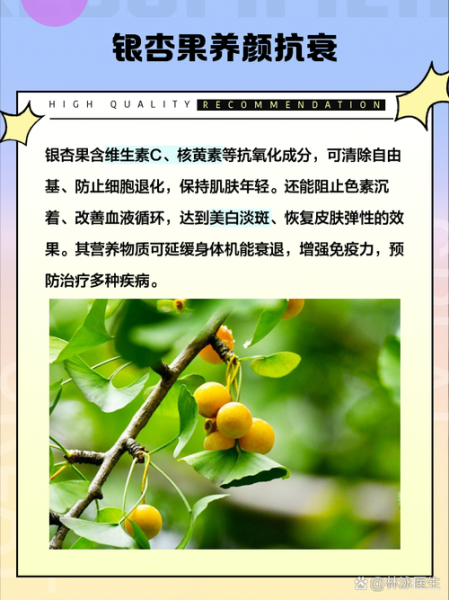 白果仁和白果的区别_白果仁怎么吃才安全-第3张图片-山城妙识 白果仁和白果的区别_白果仁怎么吃才安全-第3张图片-山城妙识