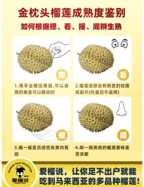 榴莲图片真实一点_如何辨别成熟榴莲-第1张图片-山城妙识 榴莲图片真实一点_如何辨别成熟榴莲-第1张图片-山城妙识
