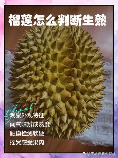 榴莲图片真实一点_如何辨别成熟榴莲-第2张图片-山城妙识 榴莲图片真实一点_如何辨别成熟榴莲-第2张图片-山城妙识