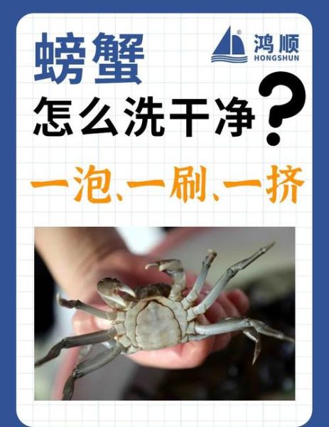怎么清洗螃蟹_螃蟹清洗步骤-第1张图片-山城妙识