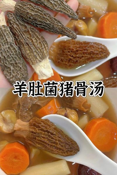 羊肚菌怎么做好吃_羊肚菌的家常做法大全-第2张图片-山城妙识