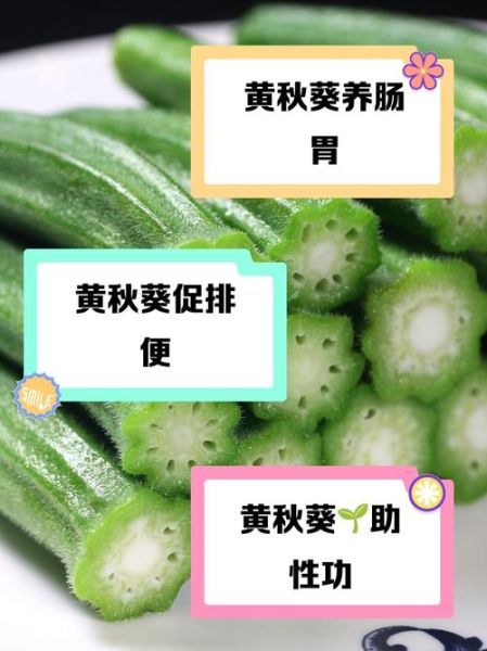 黄秋葵对男性性功能有用吗_黄秋葵壮阳效果怎么样-第1张图片-山城妙识