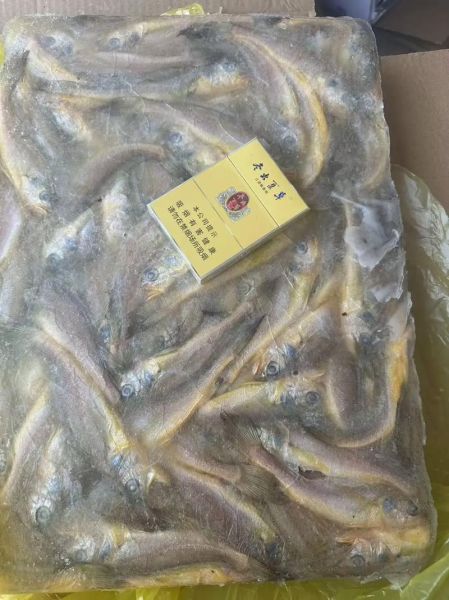 冷冻小黄鱼怎么做好吃_冷冻小黄鱼的家常做法-第3张图片-山城妙识 冷冻小黄鱼怎么做好吃_冷冻小黄鱼的家常做法-第3张图片-山城妙识