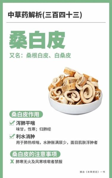 桑白皮的功效与作用_桑白皮的禁忌症有哪些-第2张图片-山城妙识 桑白皮的功效与作用_桑白皮的禁忌症有哪些-第2张图片-山城妙识