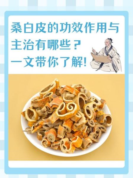 桑白皮的功效与作用_桑白皮的禁忌症有哪些-第1张图片-山城妙识 桑白皮的功效与作用_桑白皮的禁忌症有哪些-第1张图片-山城妙识