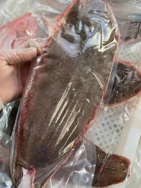 龙利鱼多少钱一斤_龙利鱼价格为什么差异大-第1张图片-山城妙识