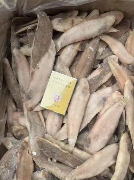 龙利鱼多少钱一斤_龙利鱼价格为什么差异大-第2张图片-山城妙识