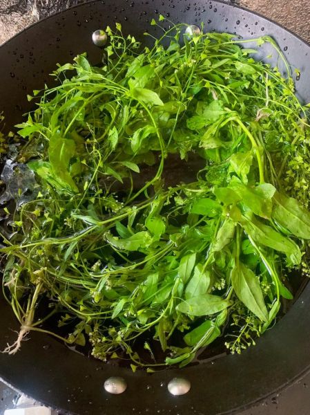 荠菜煮鸡蛋能治头疼吗_荠菜鸡蛋治头疼是真的吗-第1张图片-山城妙识 荠菜煮鸡蛋能治头疼吗_荠菜鸡蛋治头疼是真的吗-第1张图片-山城妙识