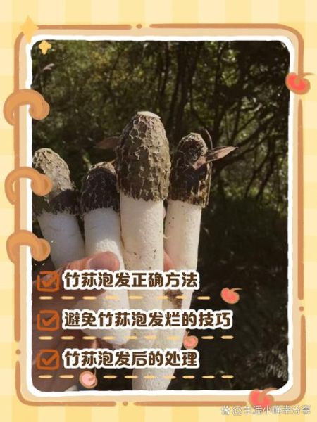 干竹荪菌怎么泡发_干竹荪菌的做法大全-第2张图片-山城妙识 干竹荪菌怎么泡发_干竹荪菌的做法大全-第2张图片-山城妙识