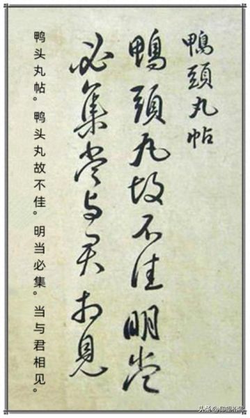 鸭头丸帖释文_王献之书法真迹价值-第3张图片-山城妙识