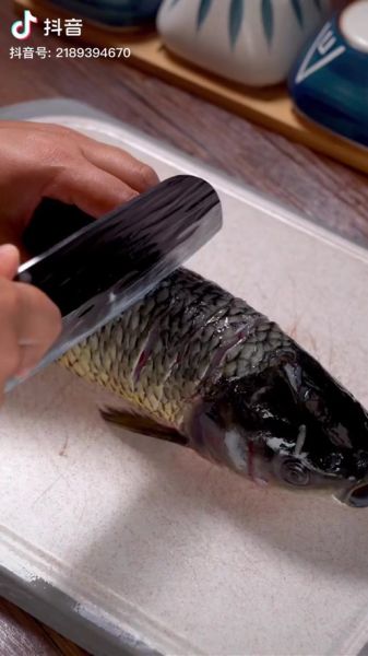 草鲡鱼怎么做好吃_草鲡鱼禁忌有哪些-第2张图片-山城妙识