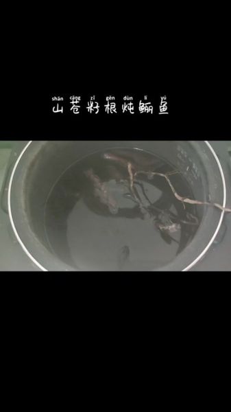 草鲡鱼怎么做好吃_草鲡鱼禁忌有哪些-第1张图片-山城妙识