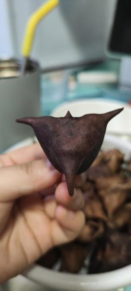 菱角的寓意和象征_菱角代表什么-第2张图片-山城妙识 菱角的寓意和象征_菱角代表什么-第2张图片-山城妙识